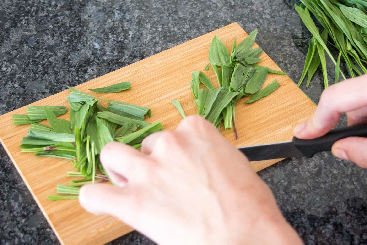 Tinkturen aus Heilpflanzen selber machen - Kostbare Natur