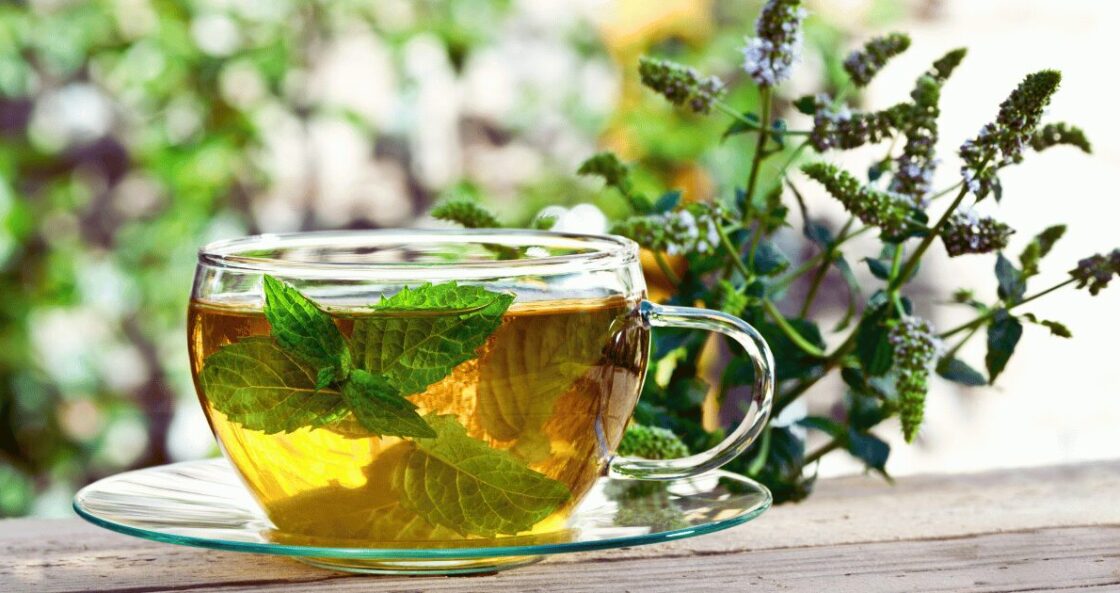 Heilsamer Thymiantee: So vielfältig ist die Wirkung - Kostbare Natur