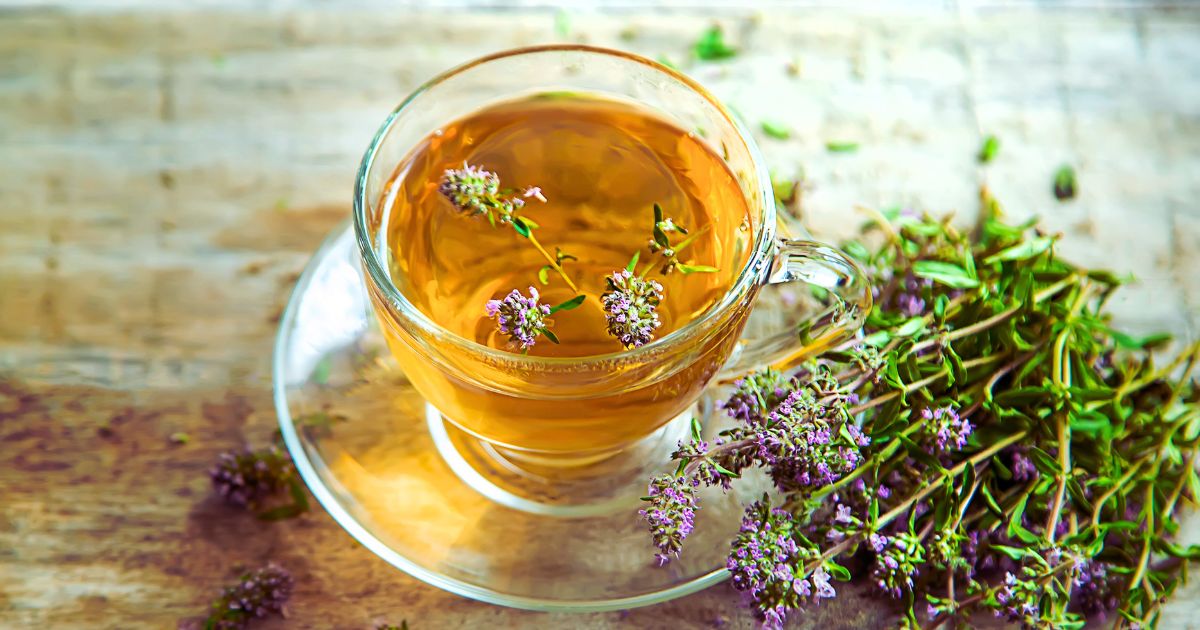 Heilsamer Thymiantee: So vielfältig ist die Wirkung - Kostbare Natur
