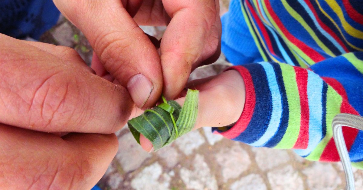 Die 7 besten Heilkräuter für offene Wunden - Kostbare Natur