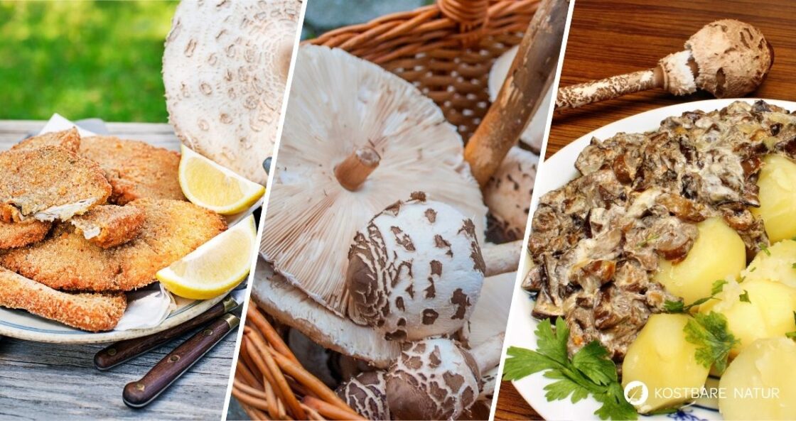 Brombeermarmelade kochen leicht gemacht - Kostbare Natur