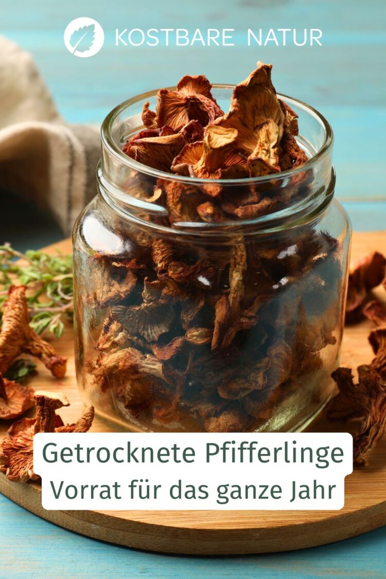 Getrocknete Pfifferlinge: So bewahrst du den Geschmack des Waldes das ...